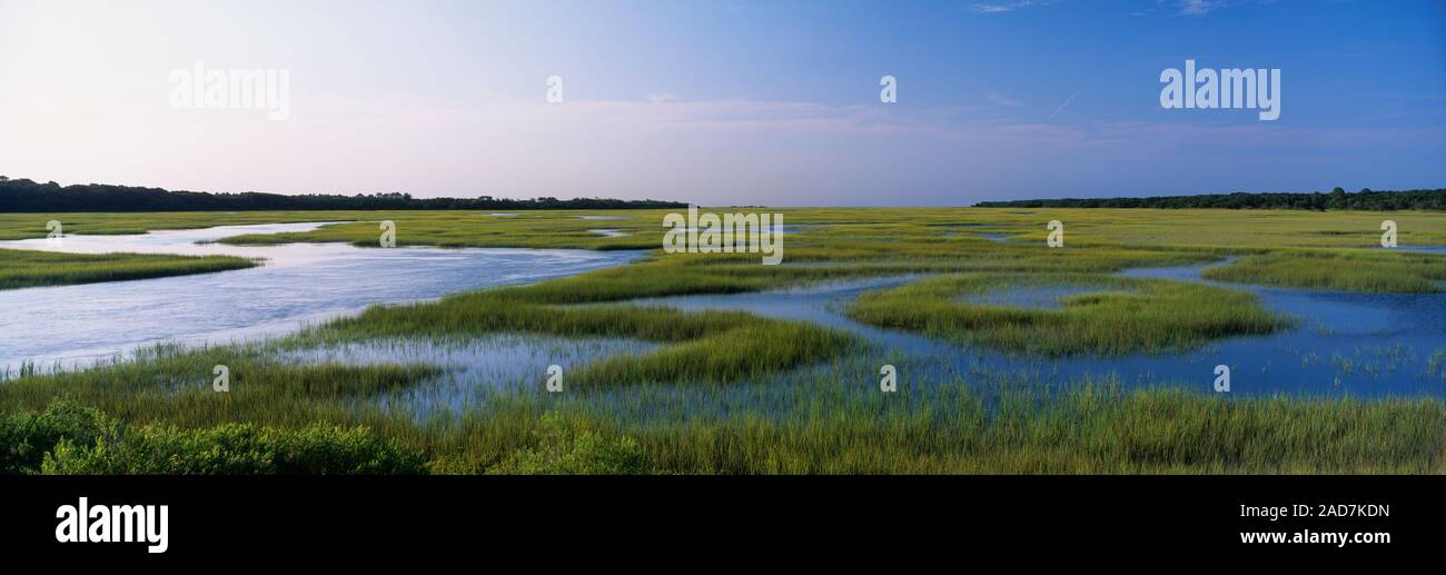 Florida Slough Swamp Marsh High Resolution Stock Photography and Images ...