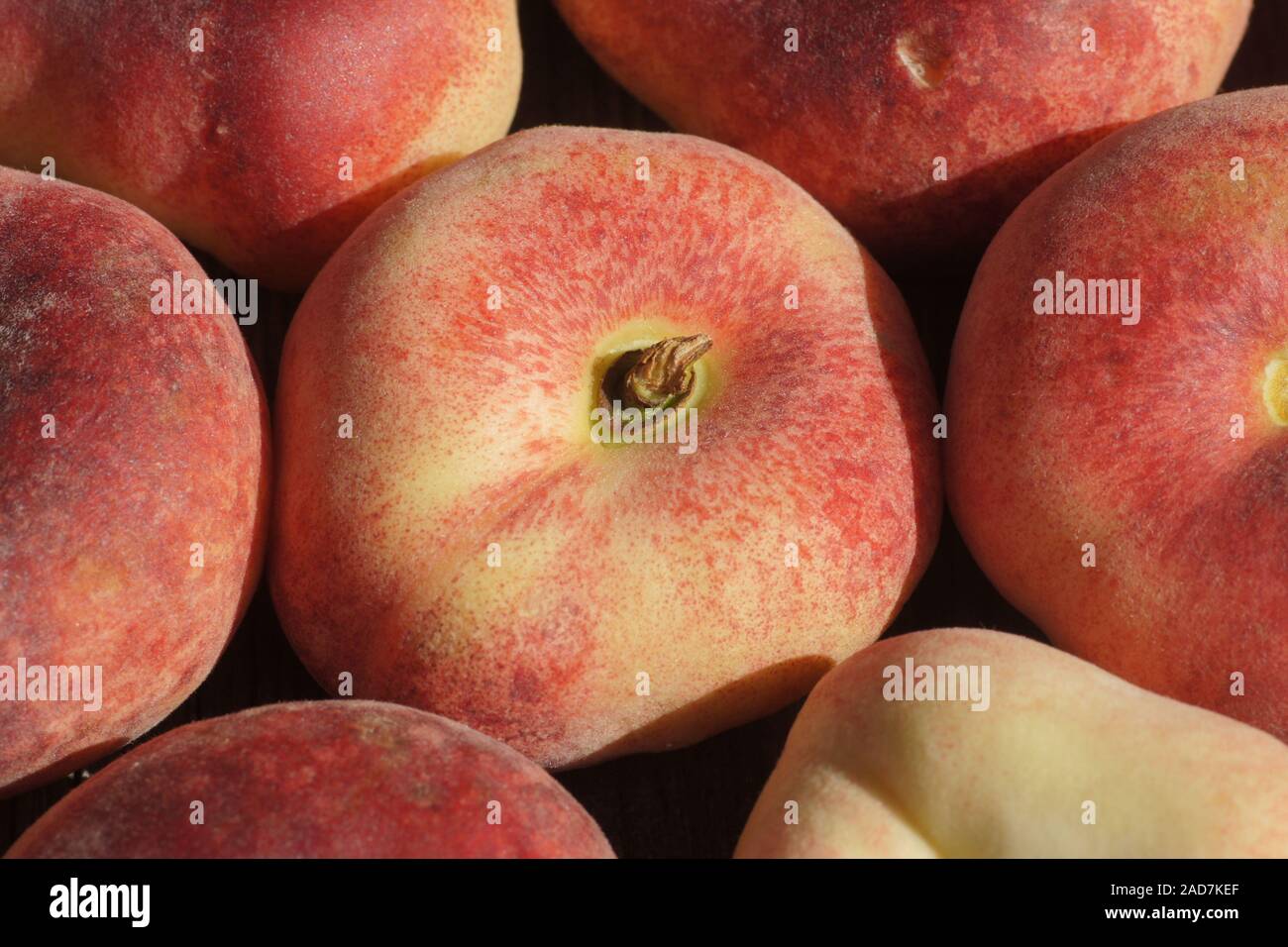 Prunus persica Samanta, Flat-Peach Stock Photo - Alamy