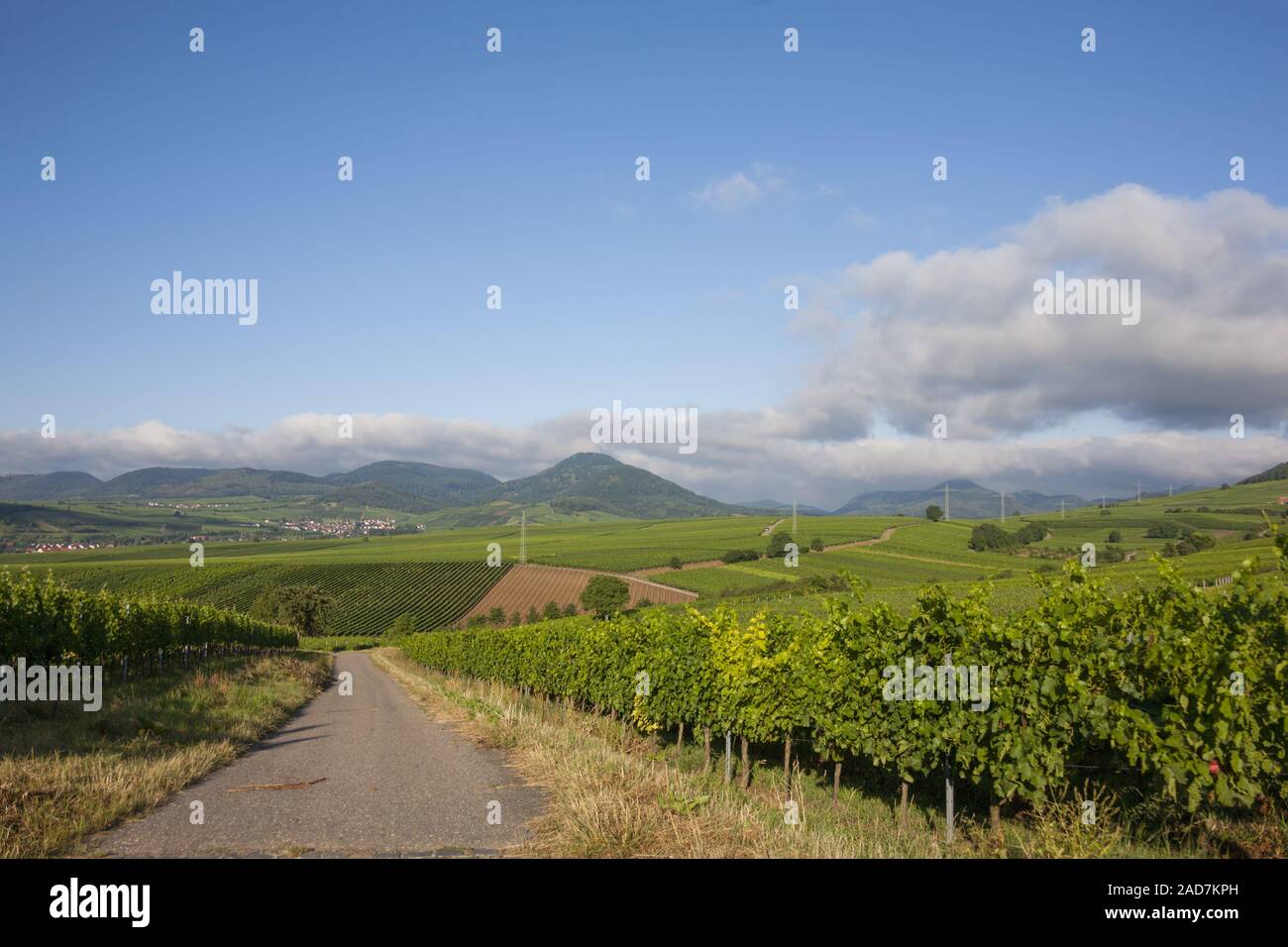 Landscape in palatinate hi-res stock photography and images - Alamy