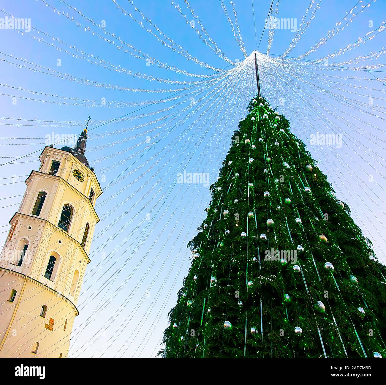 Christmas tree and Cathedral bell tower Vilnius Advent Lithuania ...