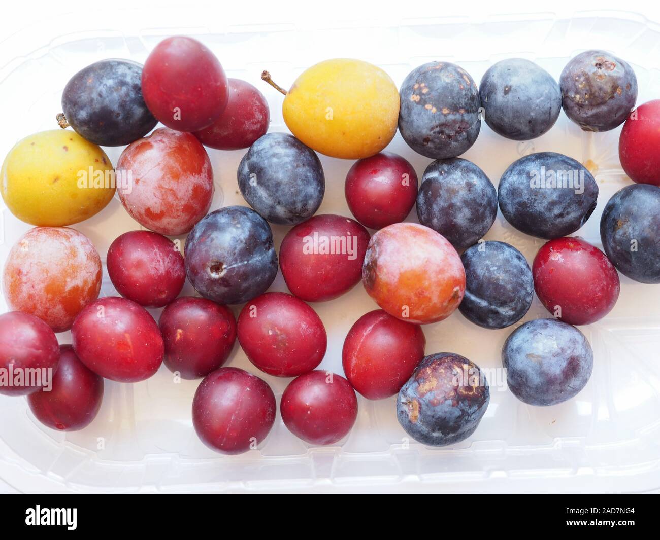 prune fruit food Stock Photo - Alamy
