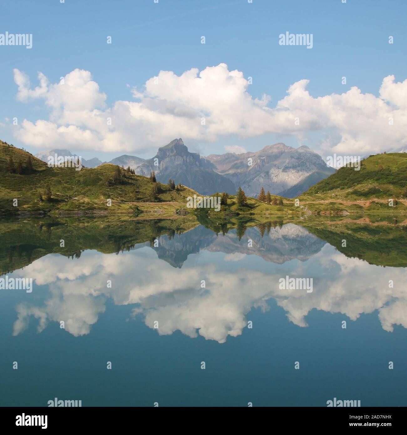 Summer scene at lake Trubsee, Swiss Alps Stock Photo - Alamy
