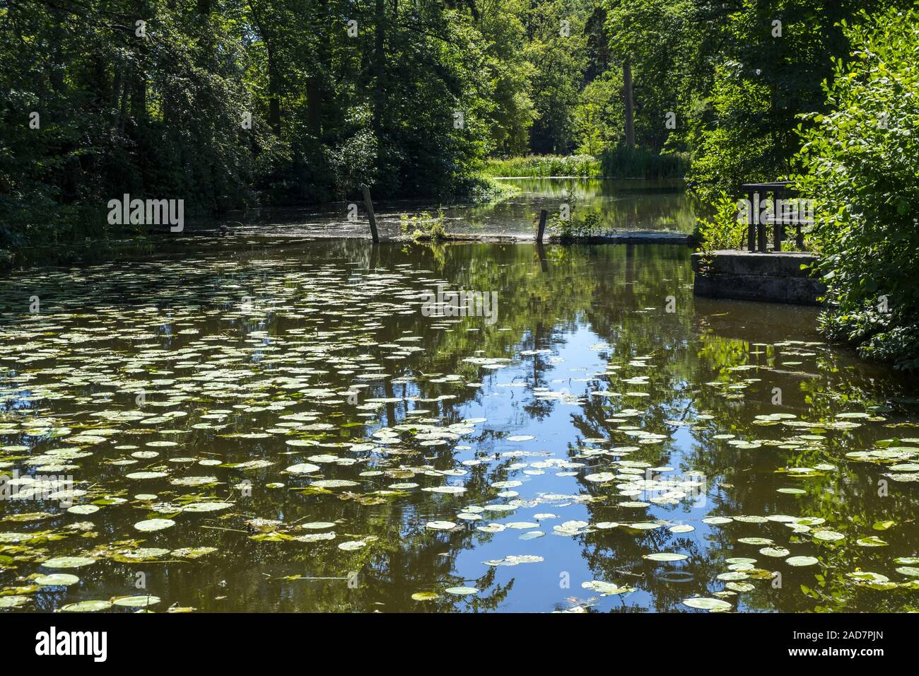Near denekamp hi-res stock photography and images - Alamy