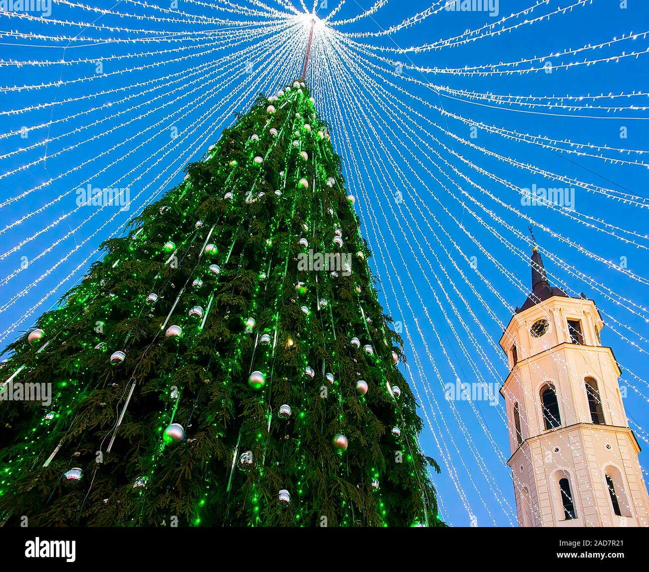 Christmas tree and Cathedral bell tower Vilnius at Advent evening ...