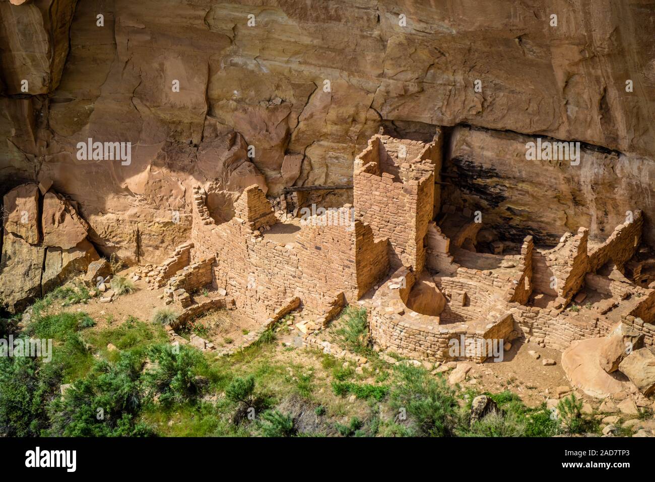 A Square Tree House in Mesa Verde National Park, Colorado Stock Photo ...