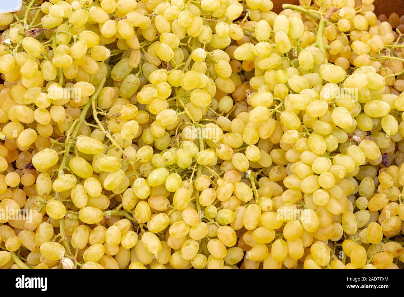 Greece grapes hi-res stock photography and images - Alamy