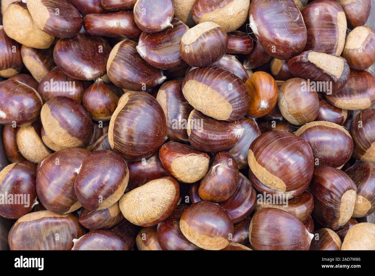 Sweet chestnuts (chestnuts), format-filling Stock Photo - Alamy