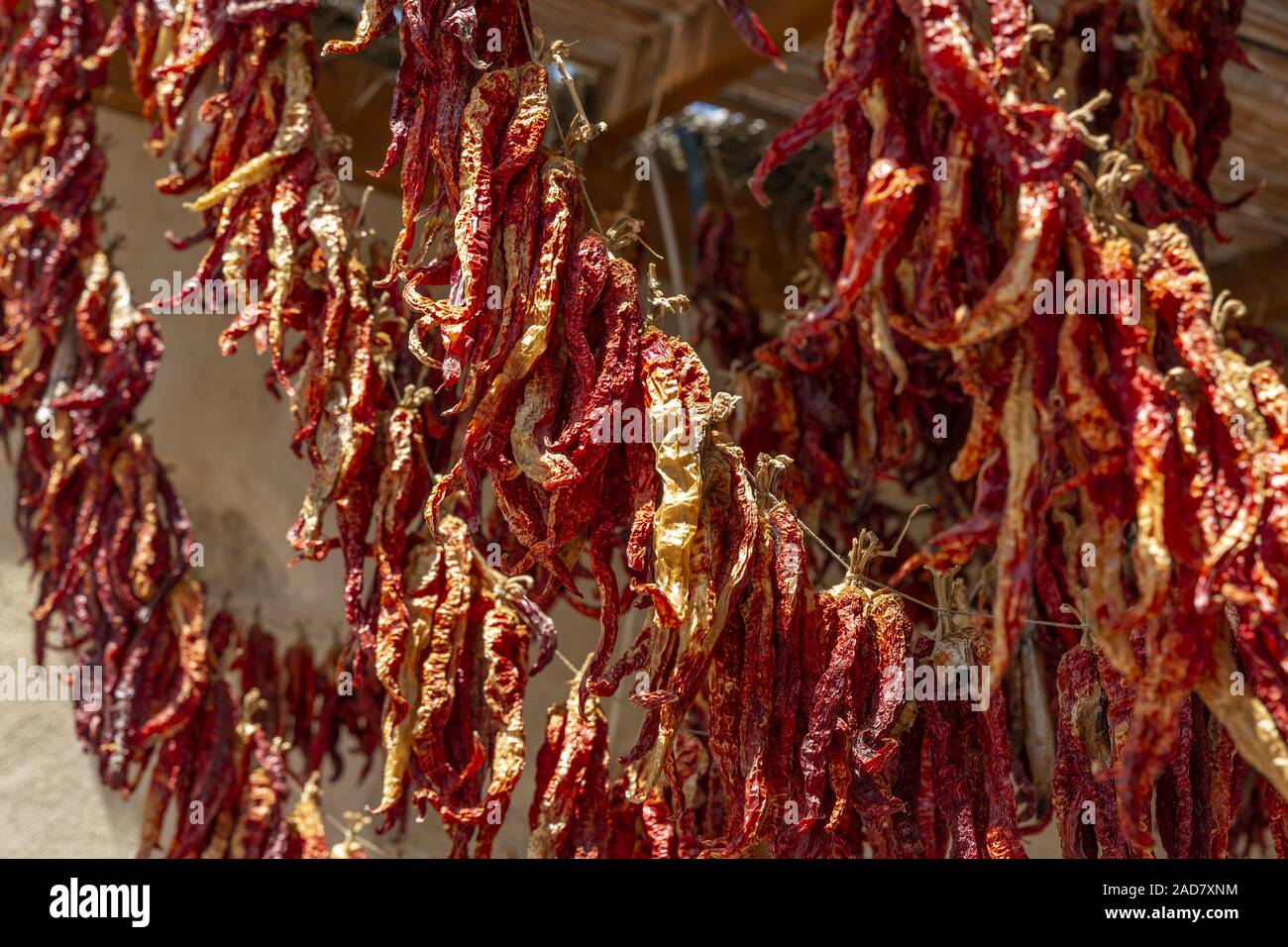 Hanging red chilies hi-res stock photography and images - Alamy