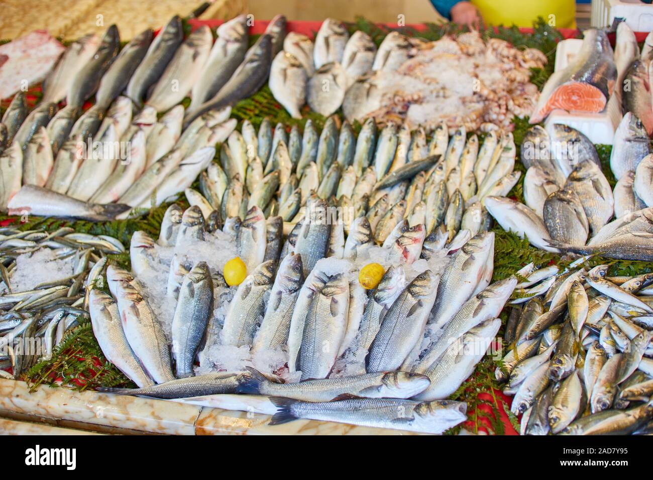 On the street fish market, fresh fish and seafood are sold. Istanbul ...