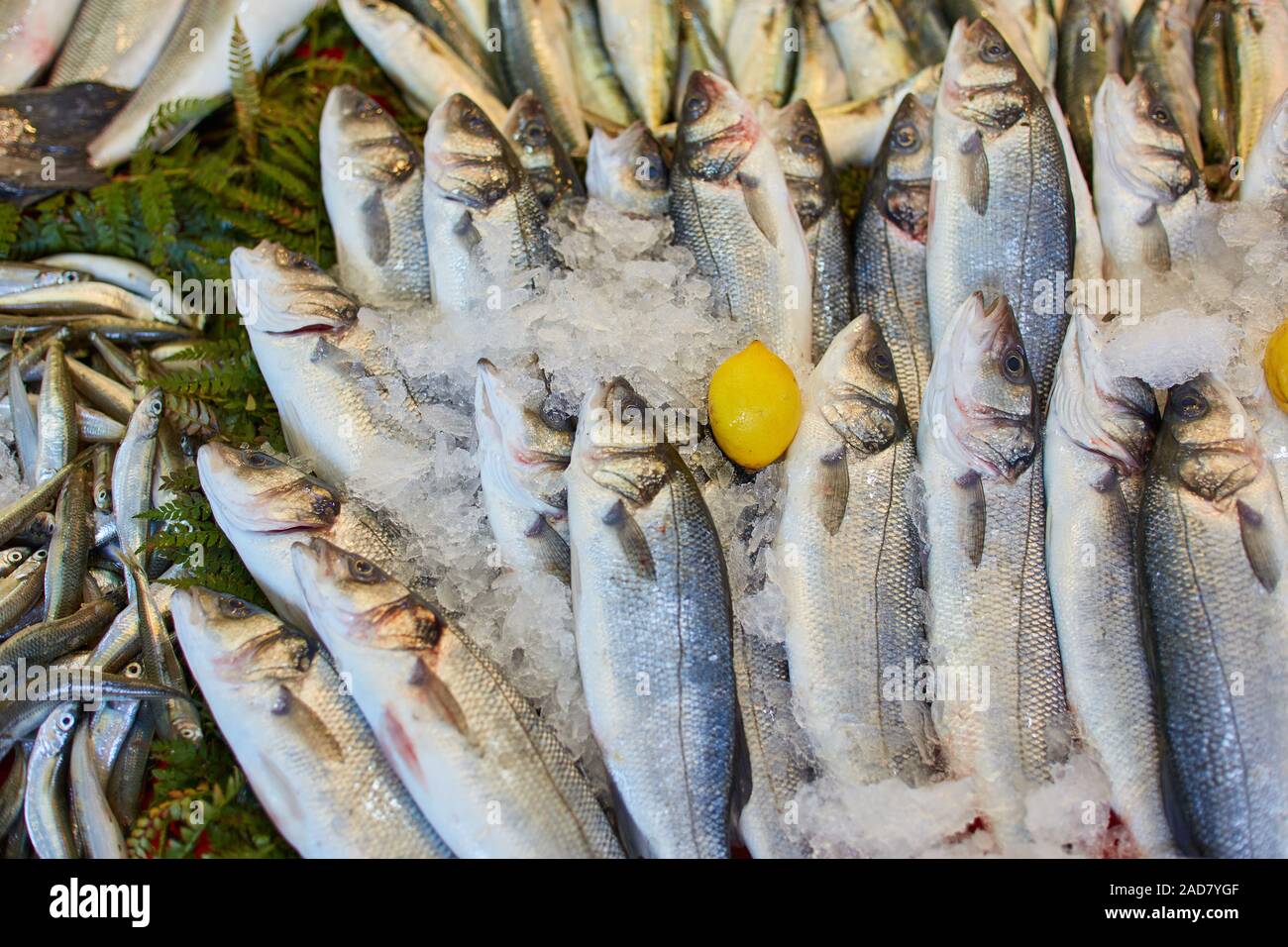 On the street fish market, fresh fish and seafood are sold. Istanbul ...