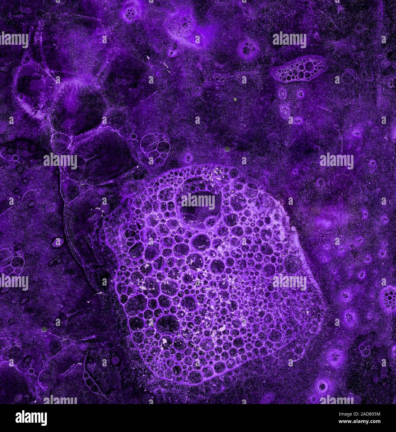 Grunge cellular texture Stock Photo - Alamy