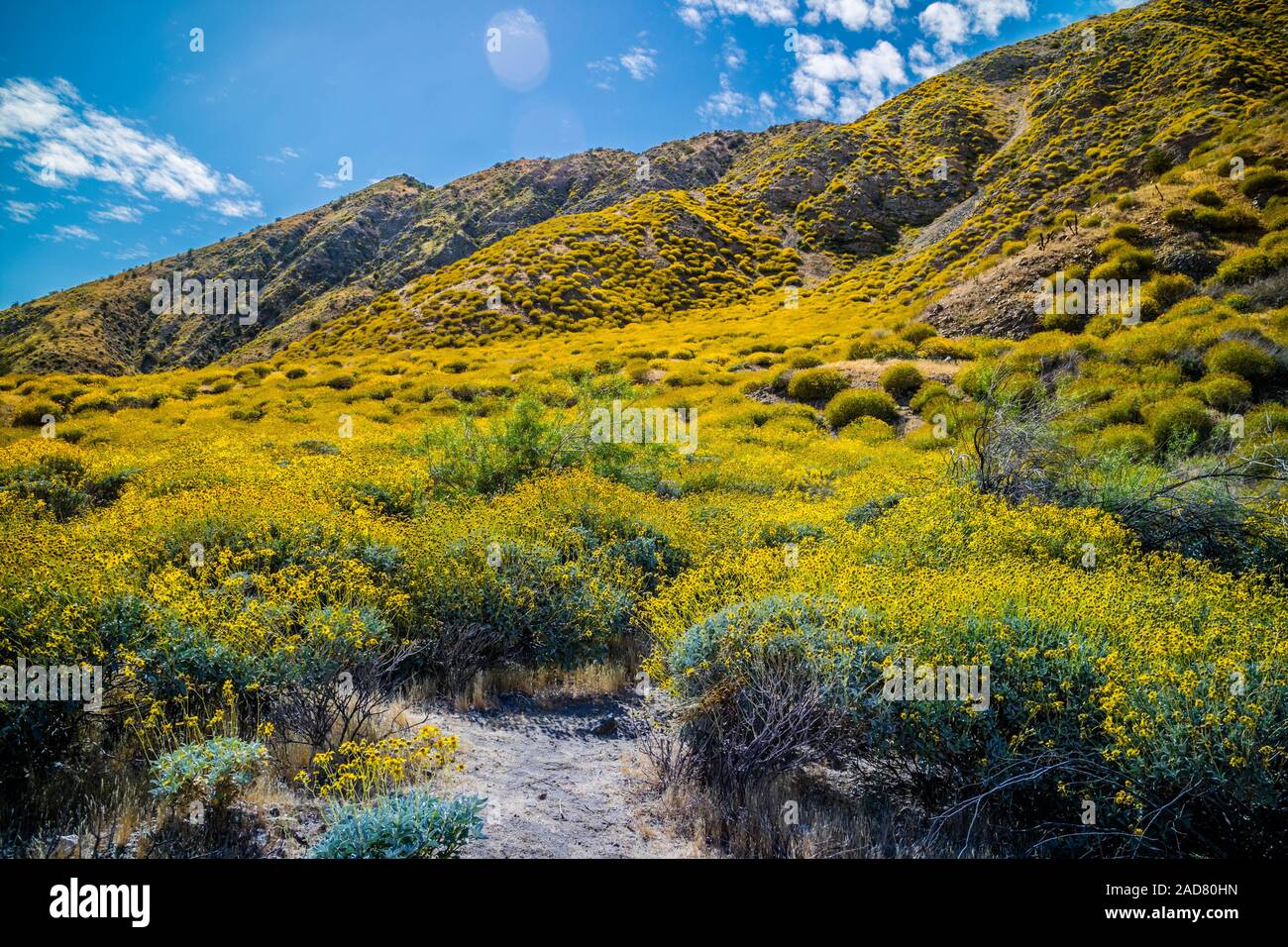 A beautiful overlooking view of nature in Palm Spring, California Stock ...