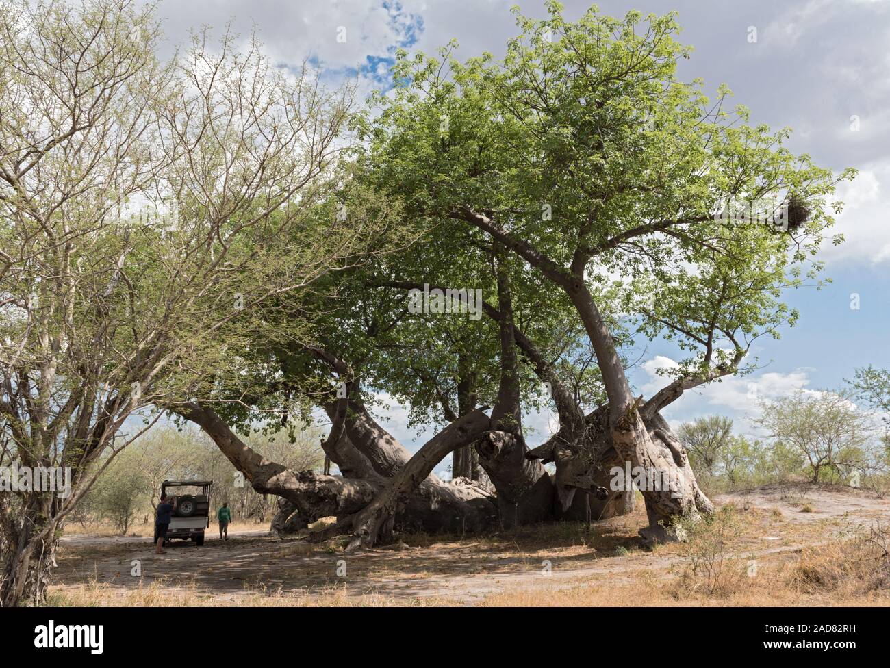 Tsumkwe hi-res stock photography and images - Alamy