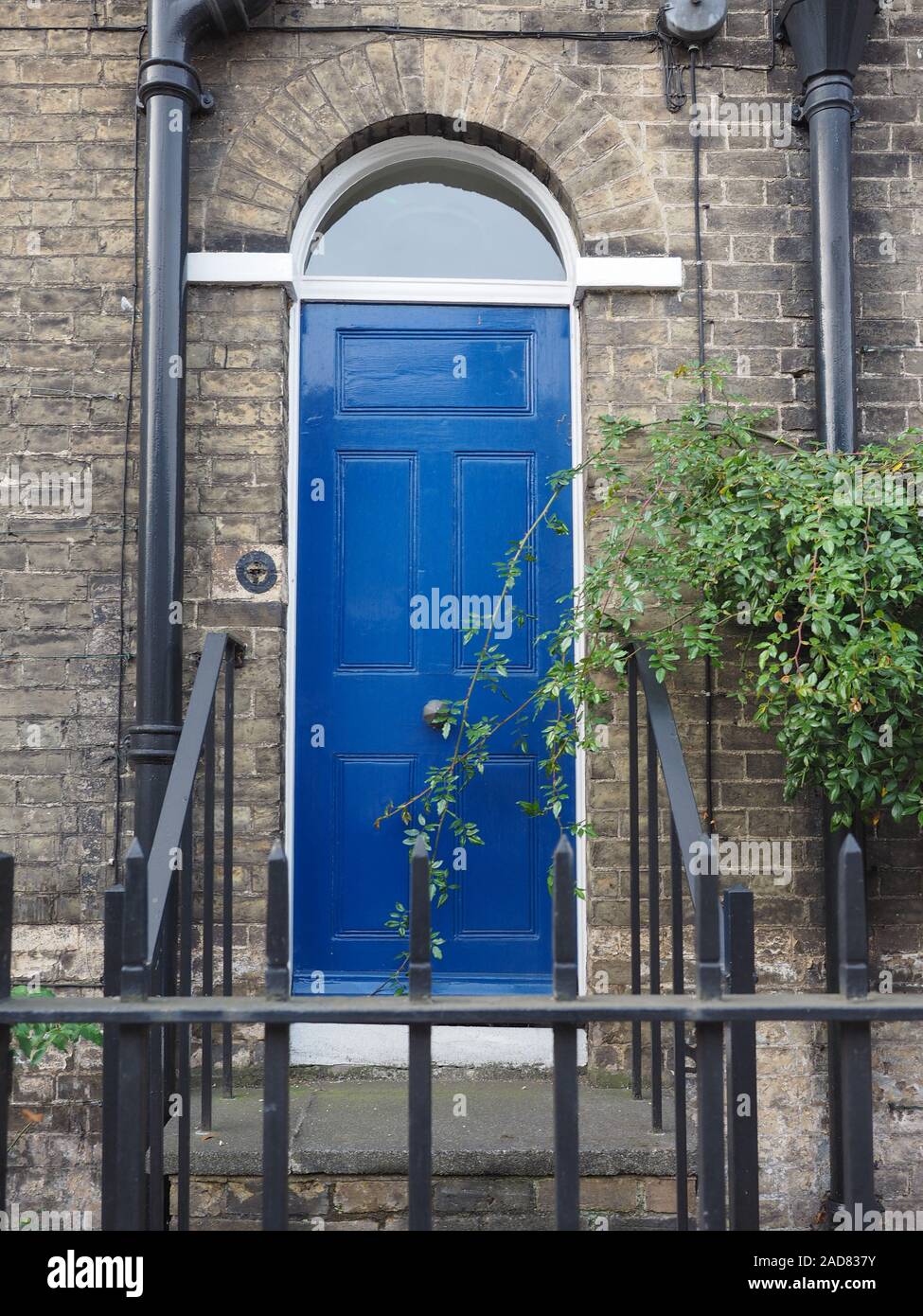 blue traditional british door Stock Photo - Alamy