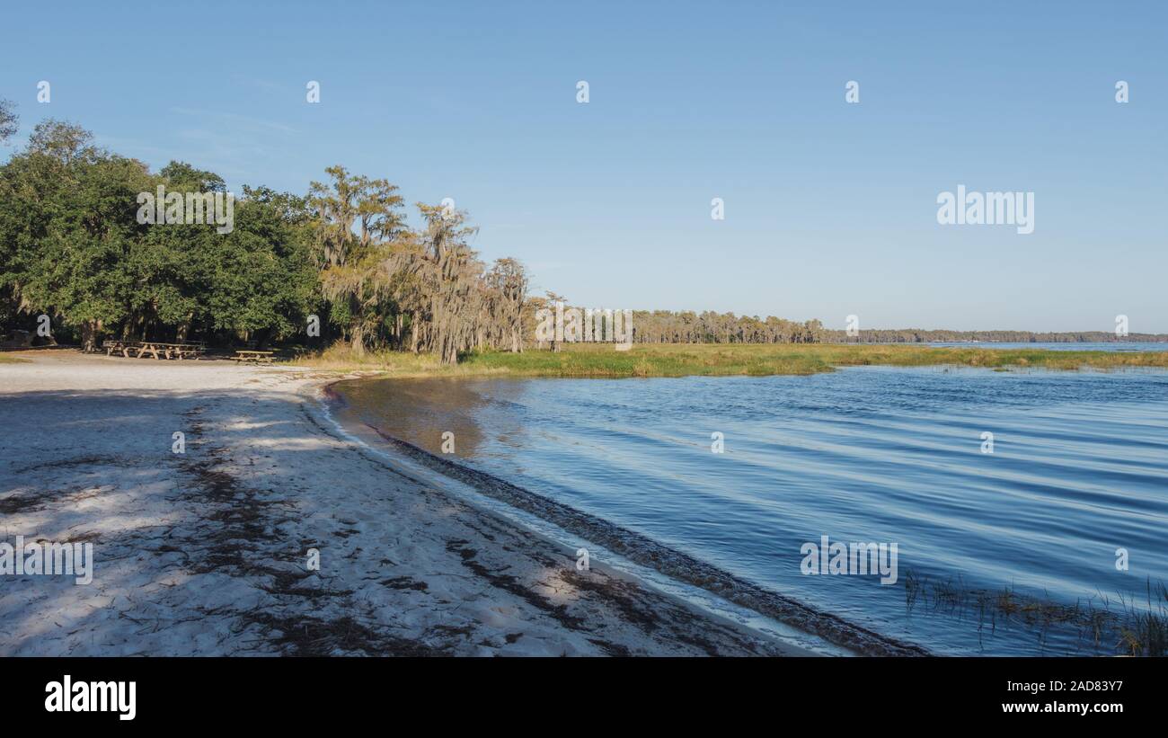 White sand beach at lake louisa at Lake Louisa State Park, Florida ...