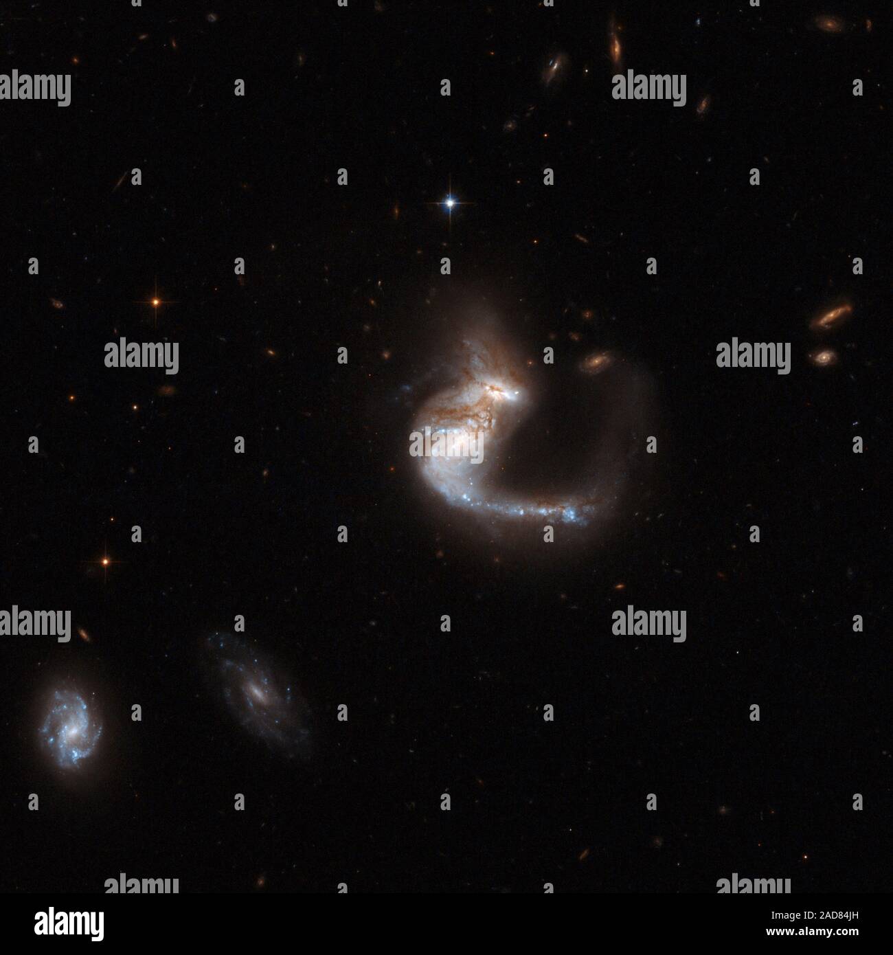 The constellation the lynx hi-res stock photography and images - Alamy