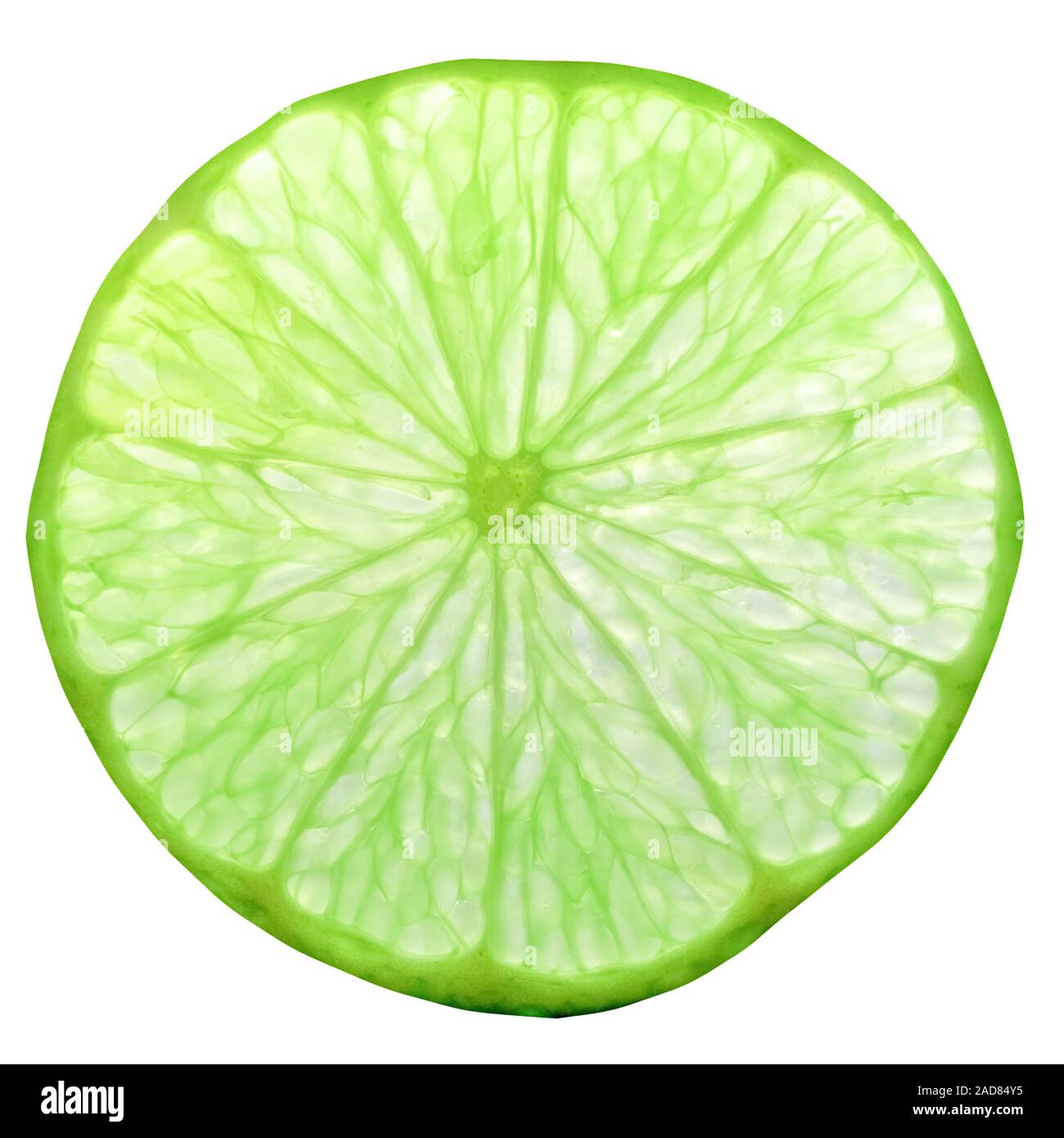 lime fruit slice Stock Photo - Alamy