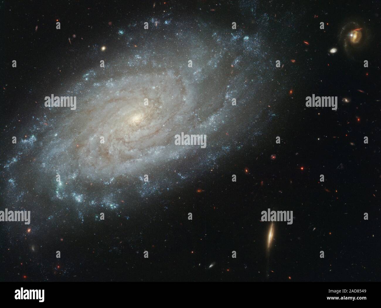 Amid a backdrop of far-off galaxies, the majestic dusty spiral, NGC ...