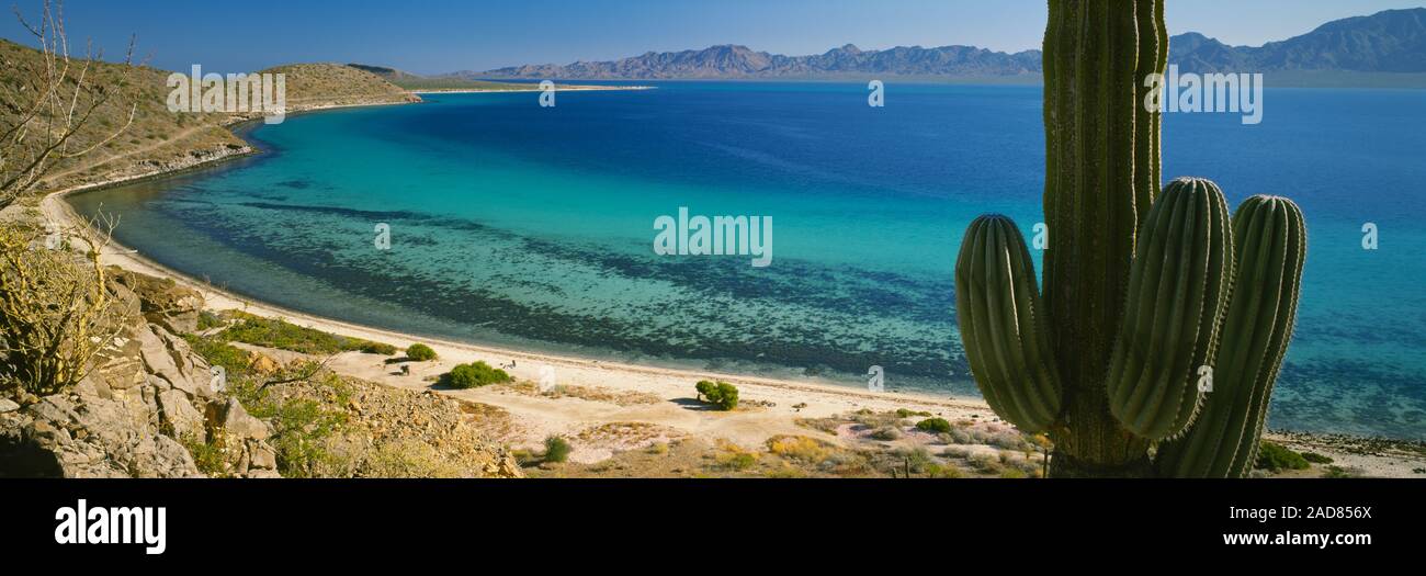 Baja conception hi-res stock photography and images - Alamy