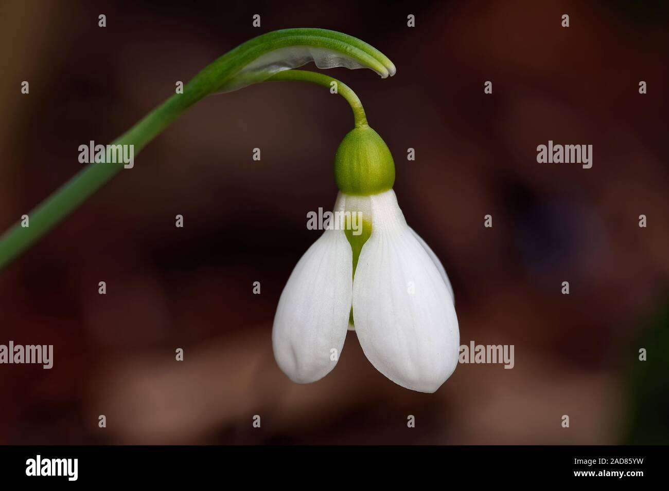 First day of spring hi-res stock photography and images - Alamy