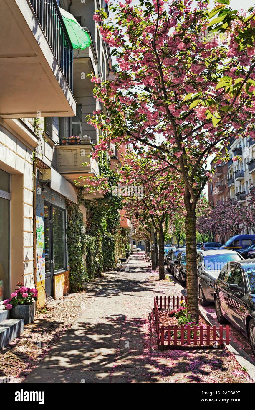 Spring in Berlin Stock Photo - Alamy