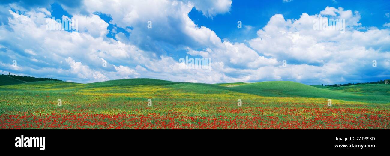 Landscape white hills in hi-res stock photography and images - Alamy