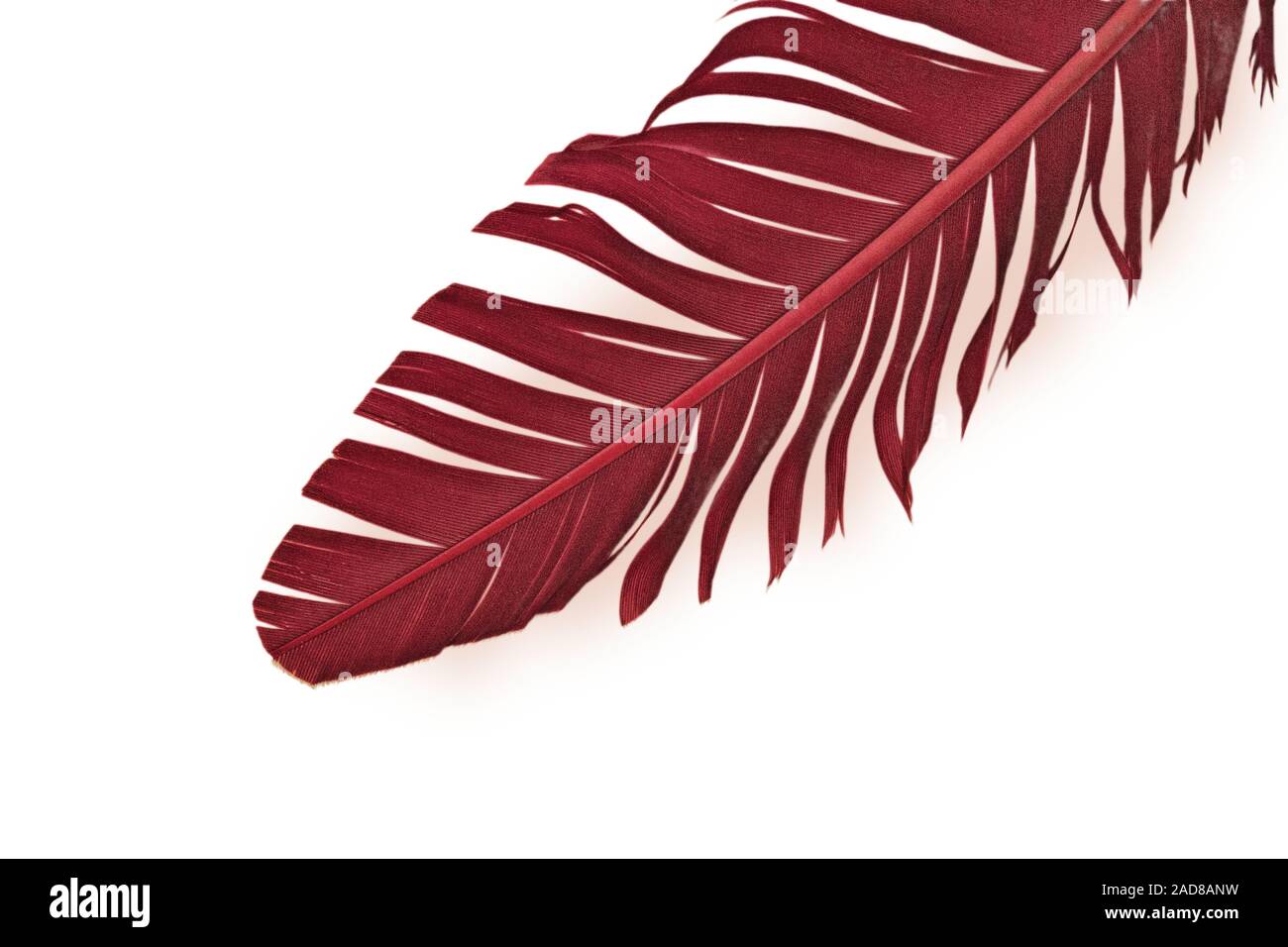 Ease background hi-res stock photography and images - Alamy