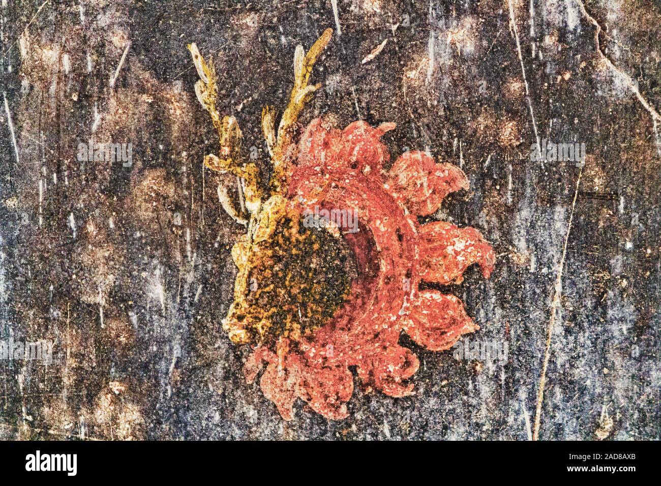 Pompei Antique Flower Stock Photo - Alamy