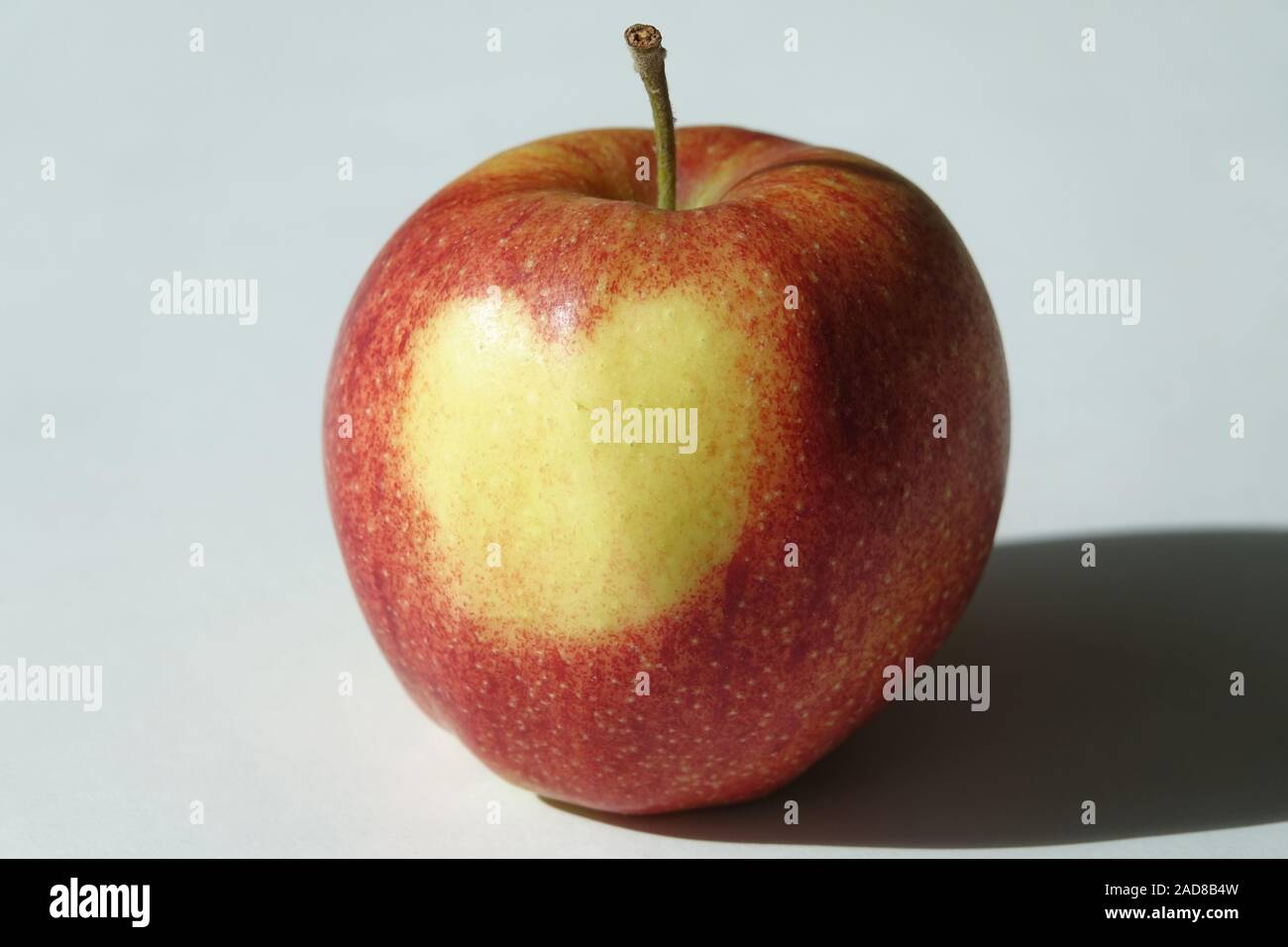 Malus domestica Jonagored, Apple, heart on skin Stock Photo - Alamy