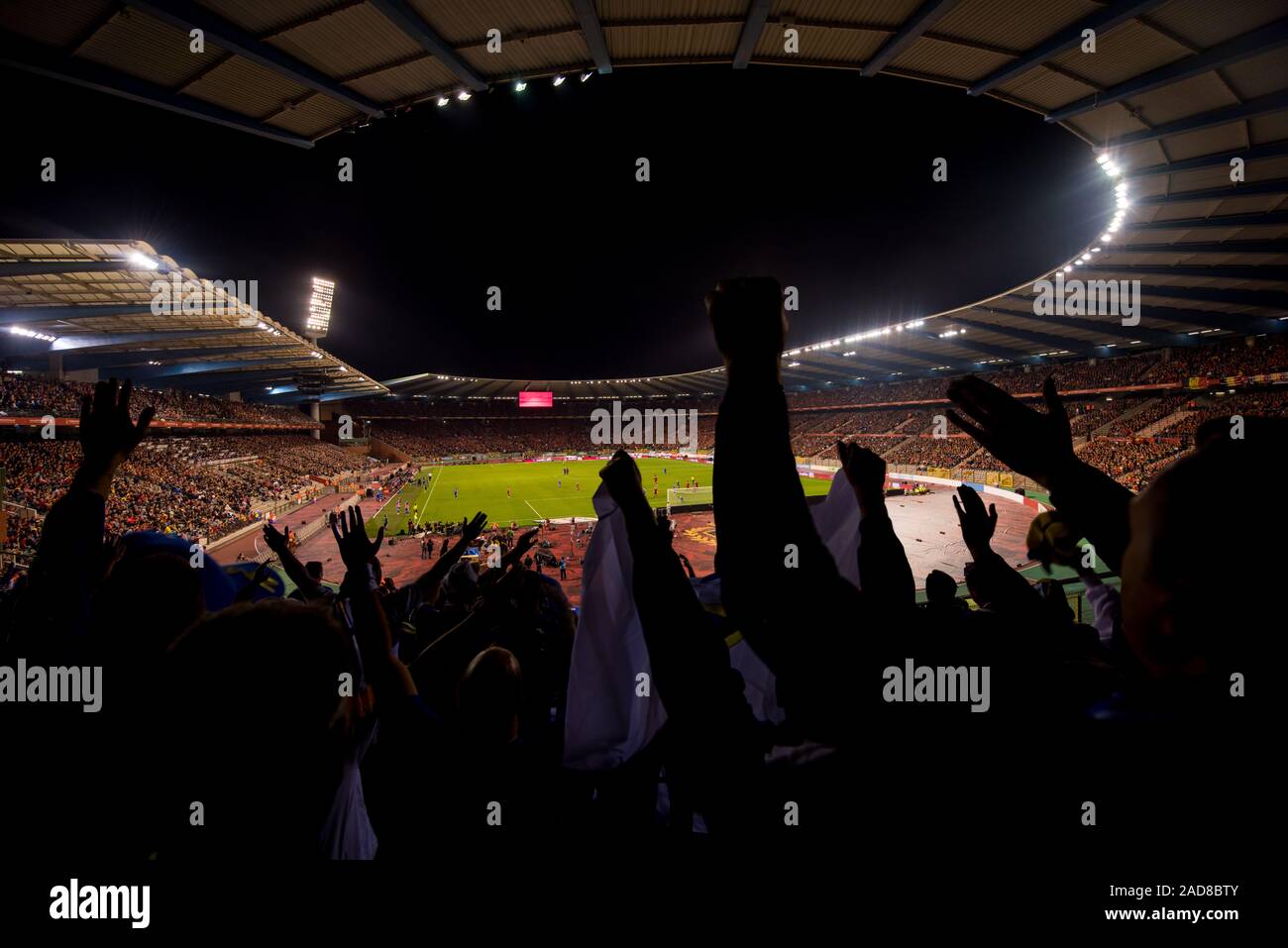 soccer fans support their favorite sports team Stock Photo - Alamy