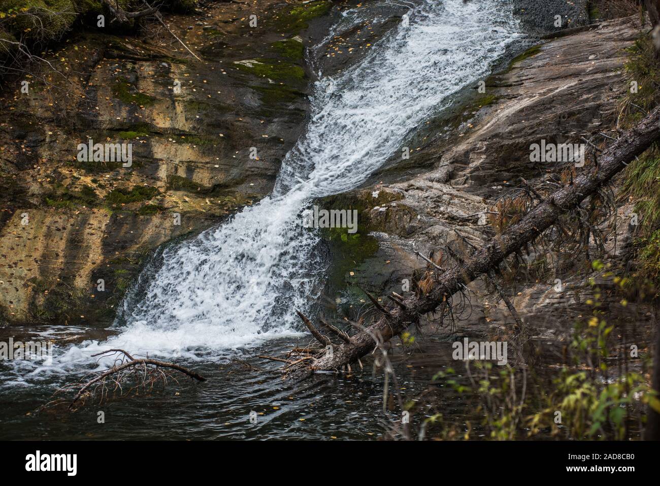 Waterfall on river Shinok Stock Photo - Alamy