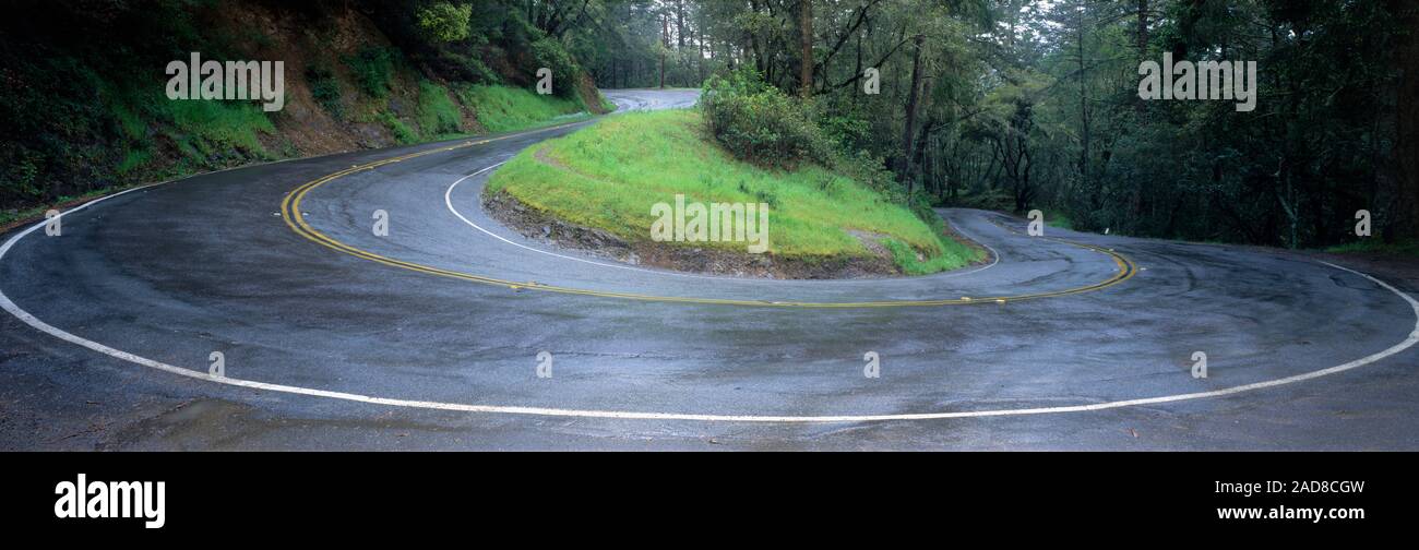 Wet road turn in forest during rain, California, USA Stock Photo - Alamy