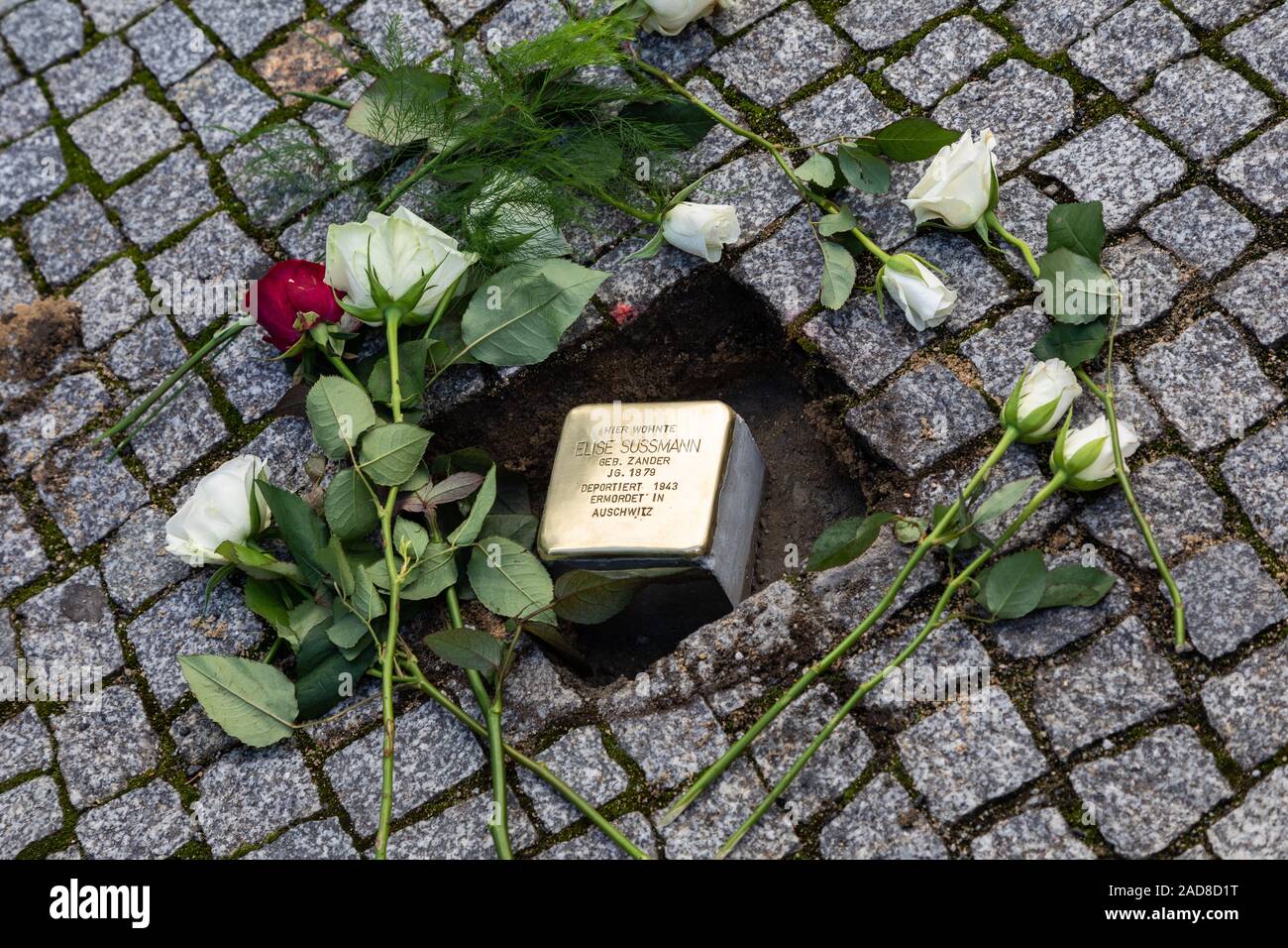 Verlegung des "Stolpersteins" durch den Kölner Künstler Gunter Demnig ...