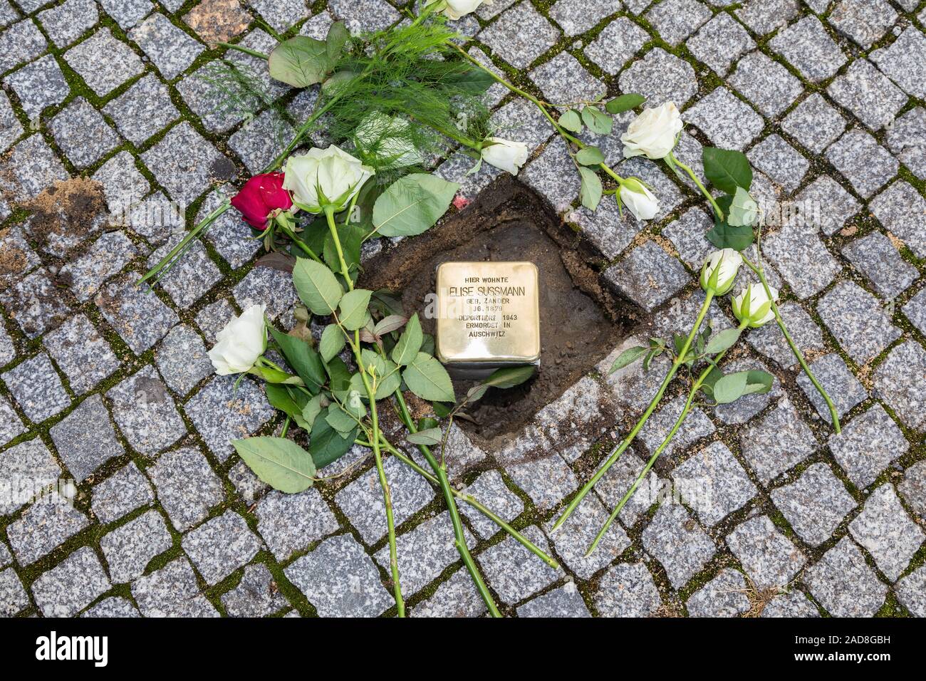 Verlegung des "Stolpersteins" durch den Kölner Künstler Gunter Demnig ...