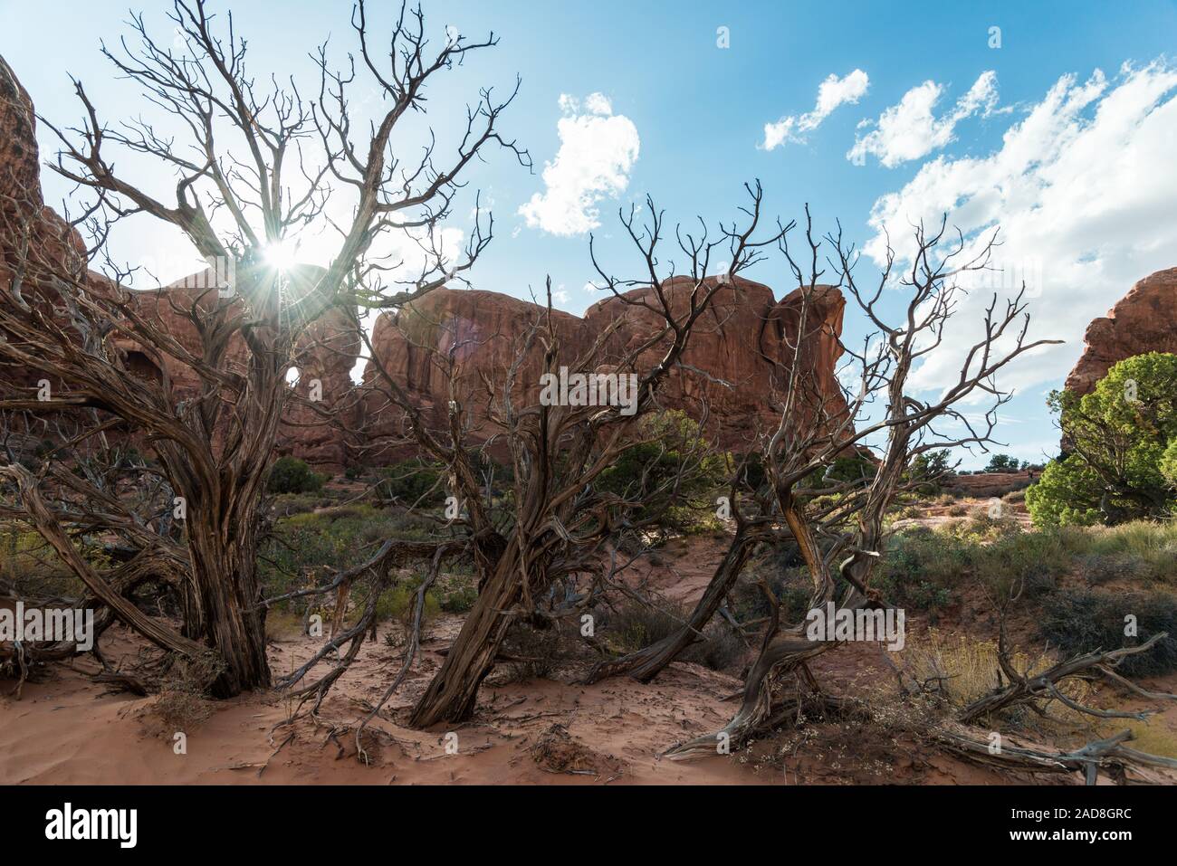 Fallen arches hi-res stock photography and images - Alamy