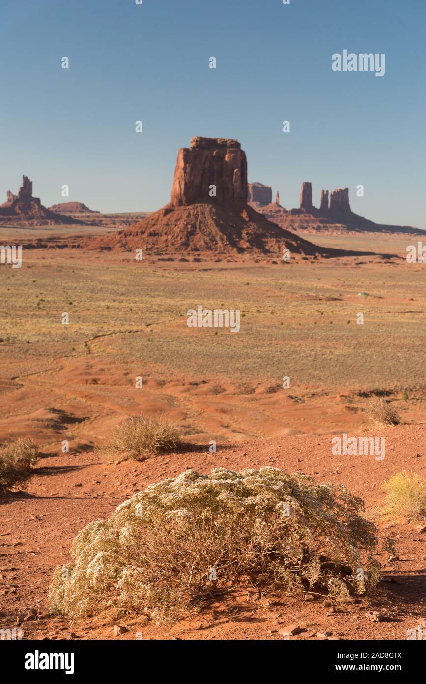 Us national parks hi-res stock photography and images - Alamy