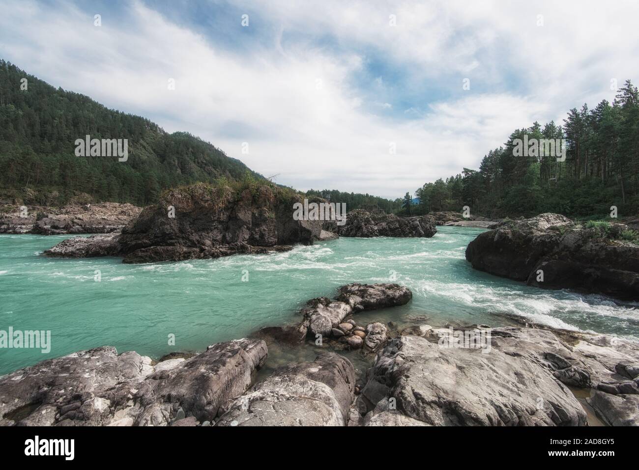 Katun river, in the Altai mountains Stock Photo - Alamy