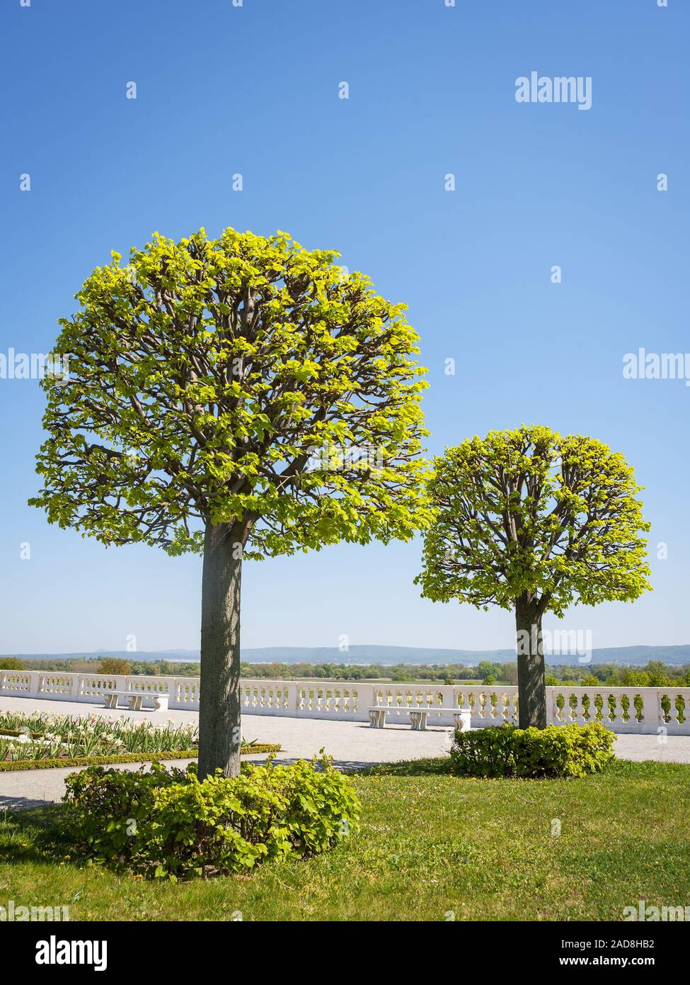 Good shape hi-res stock photography and images - Alamy