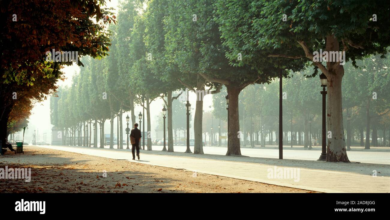 Treelined footpath at Avenue des Champs Elysees, Paris, France Stock ...