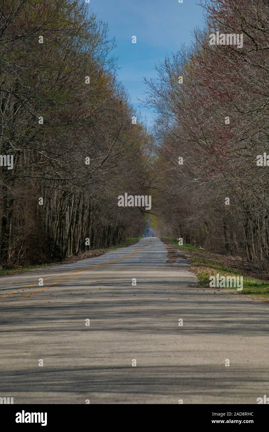 Wooded rural road hi-res stock photography and images - Alamy