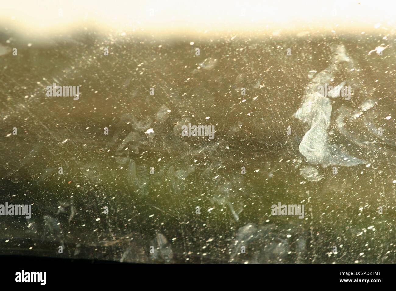 Dirty window seen from the inside of a vehicle Stock Photo - Alamy