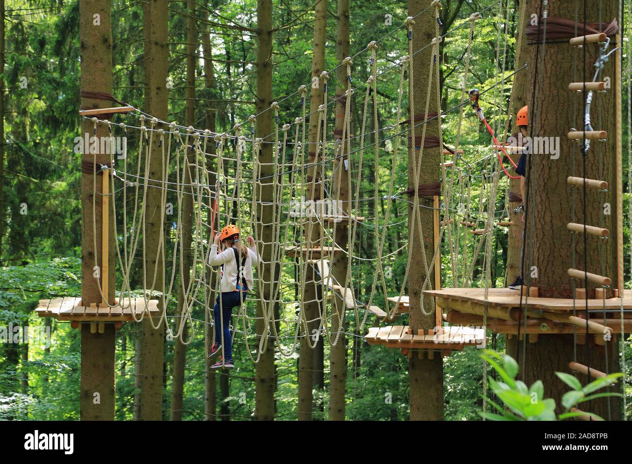 Climbing forest and high ropes course Stock Photo - Alamy
