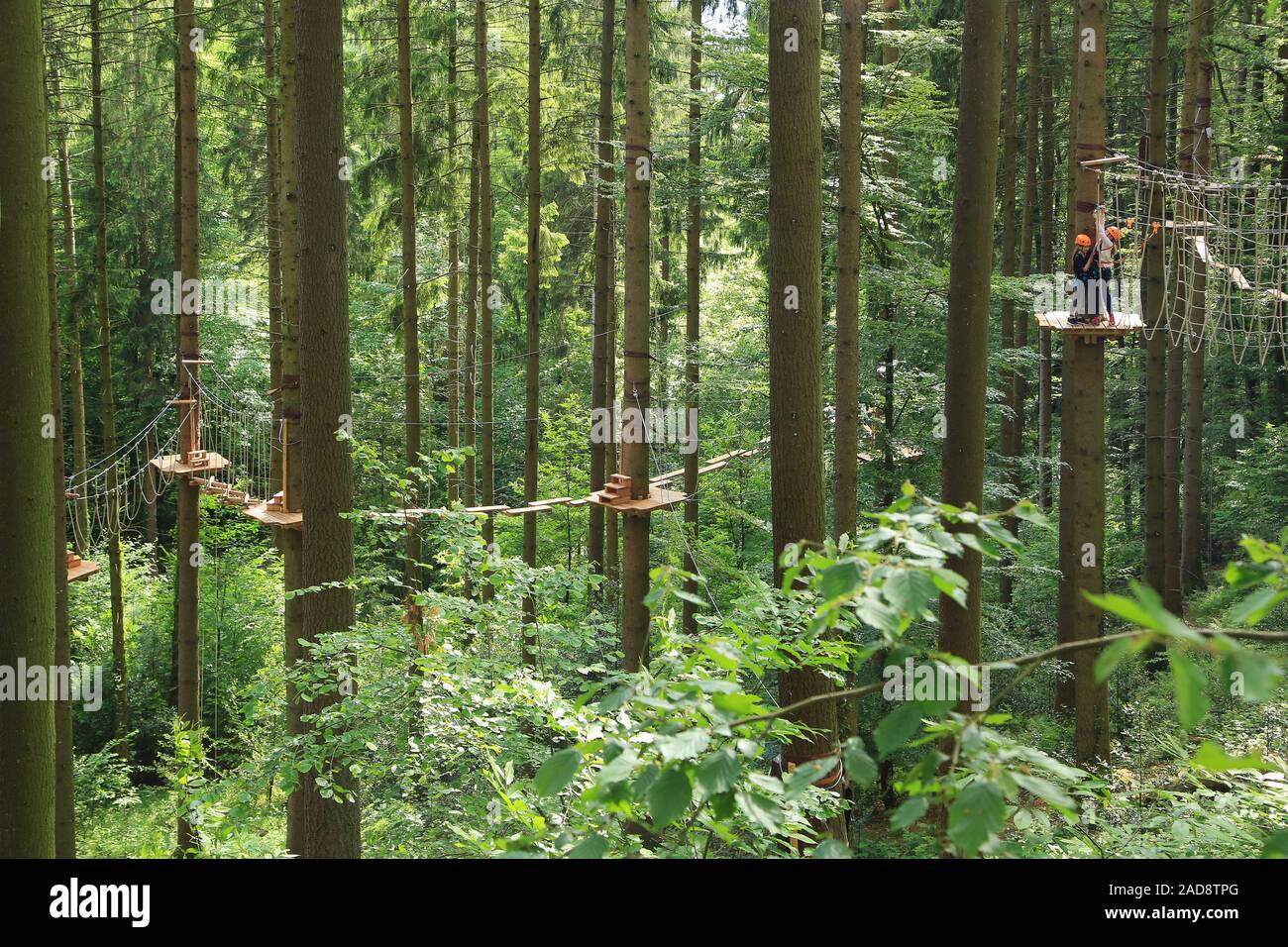 Climbing forest and high ropes course Stock Photo - Alamy