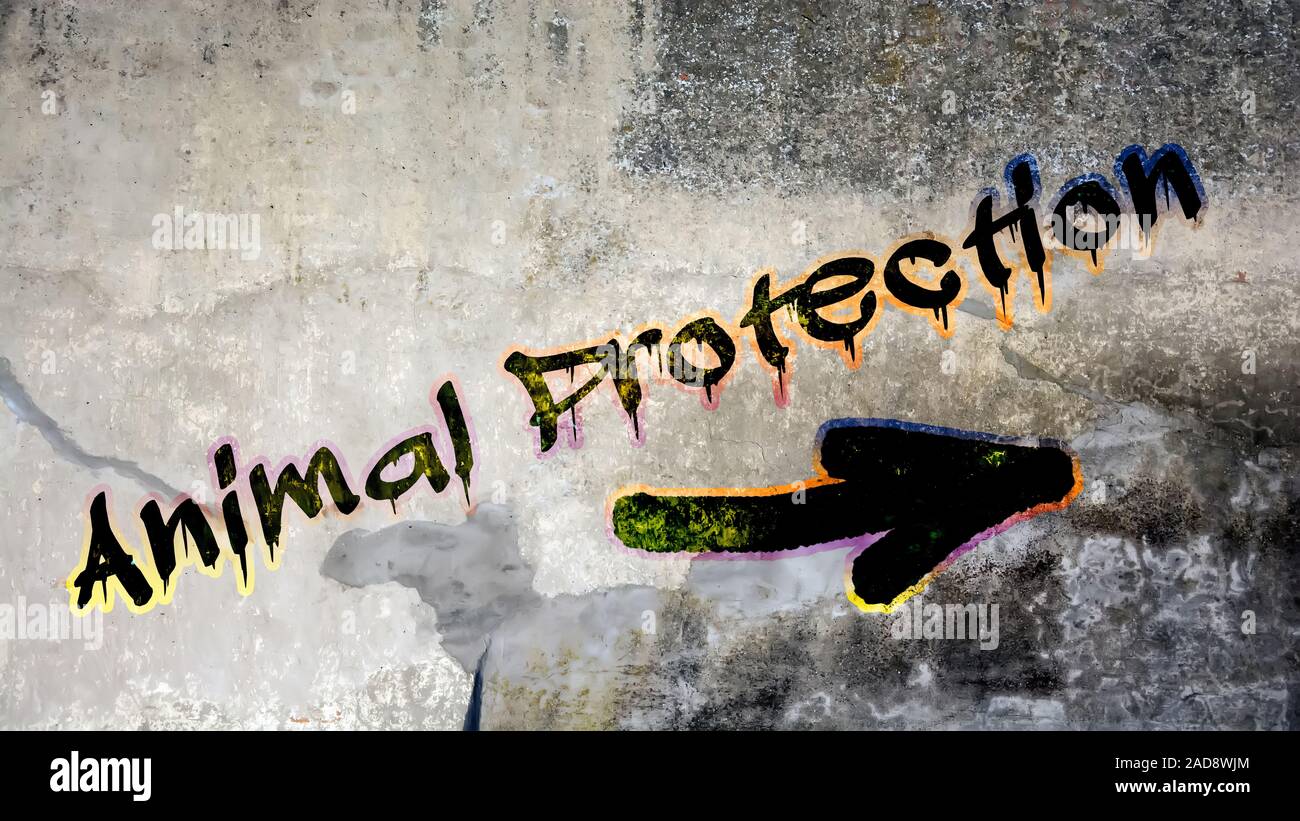 Wall Graffiti to Animal Protection Stock Photo - Alamy