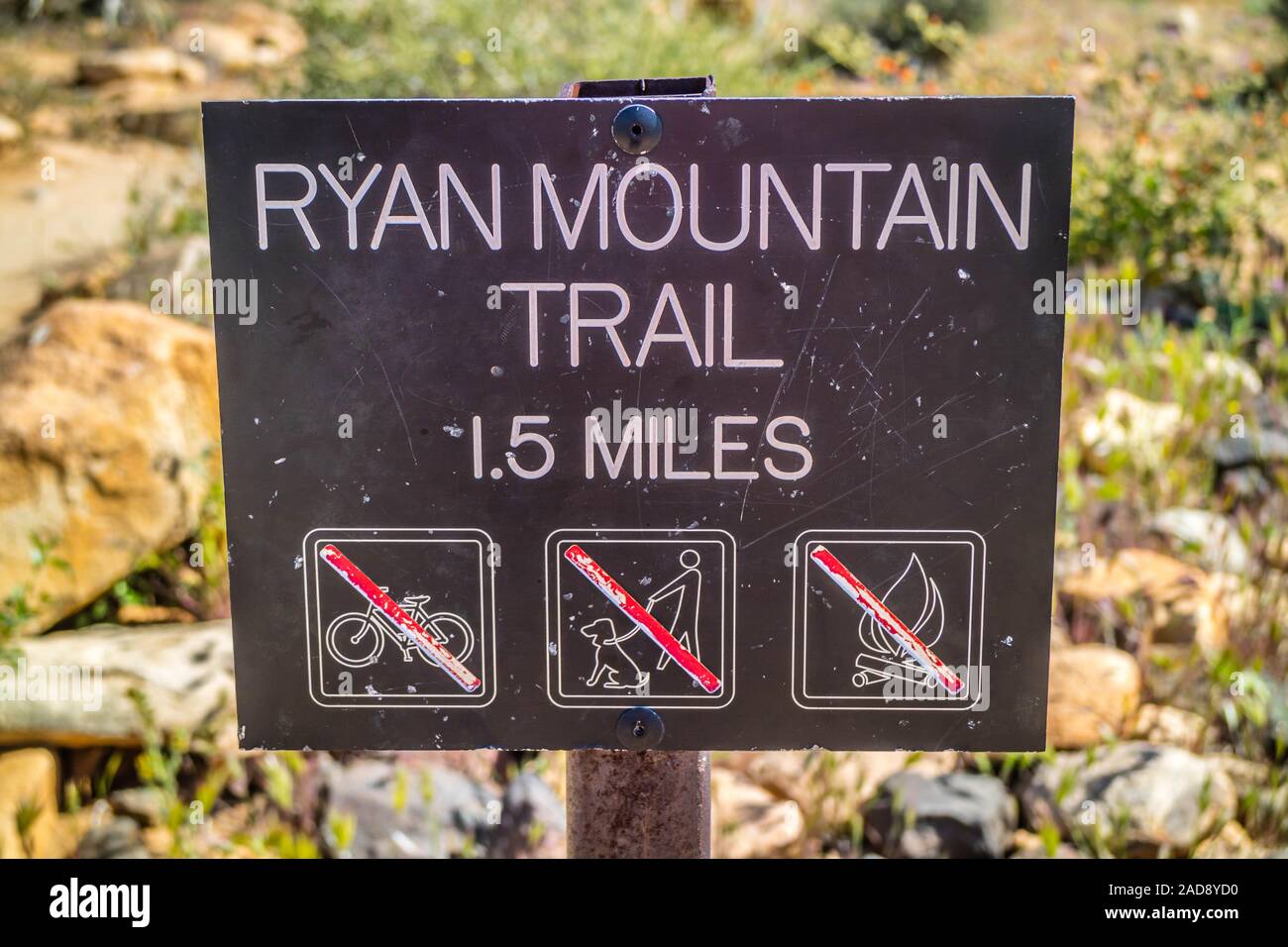 Joshua tree national park sign hi-res stock photography and images - Alamy