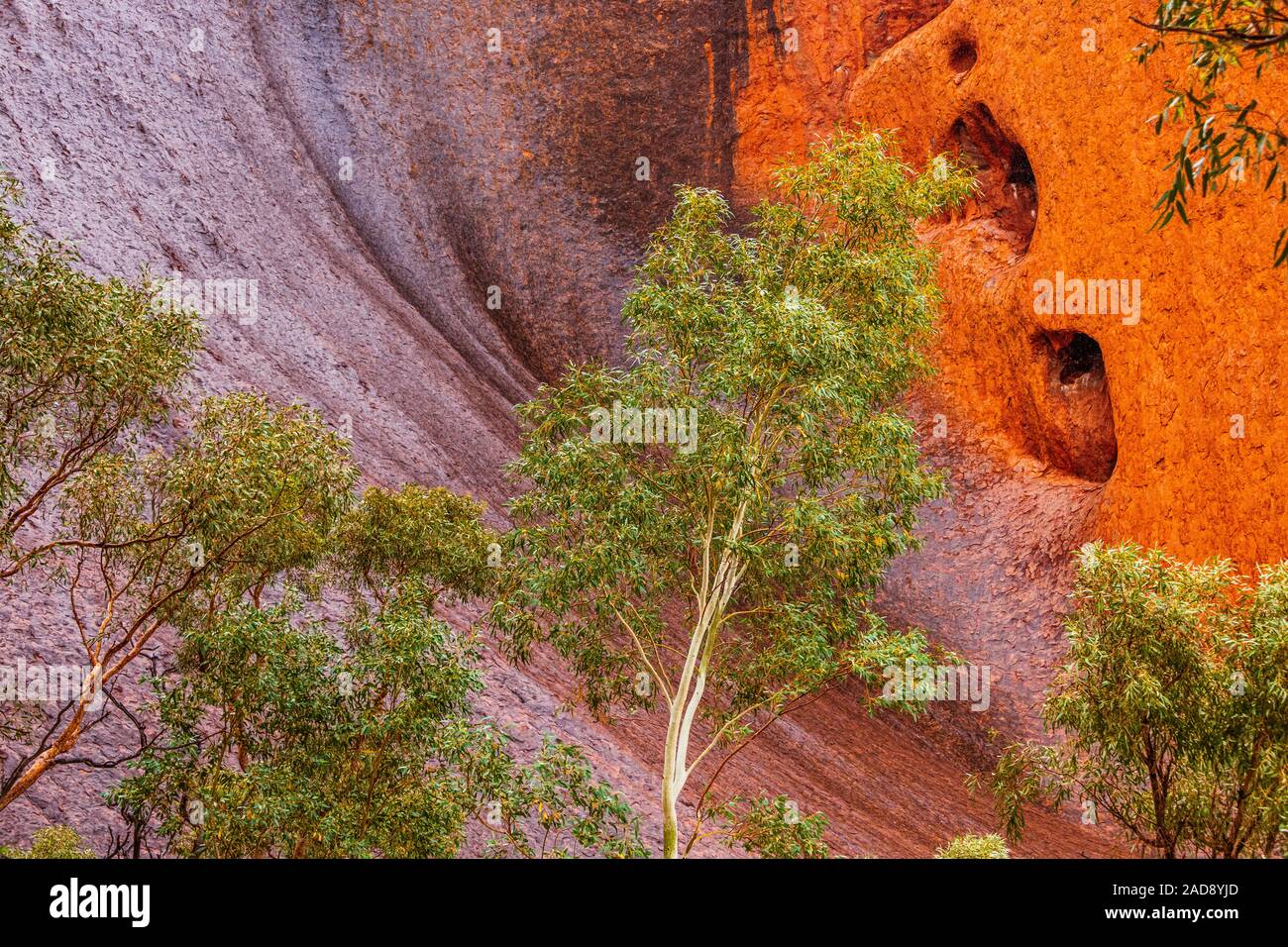 Uluru australia hi-res stock photography and images - Alamy