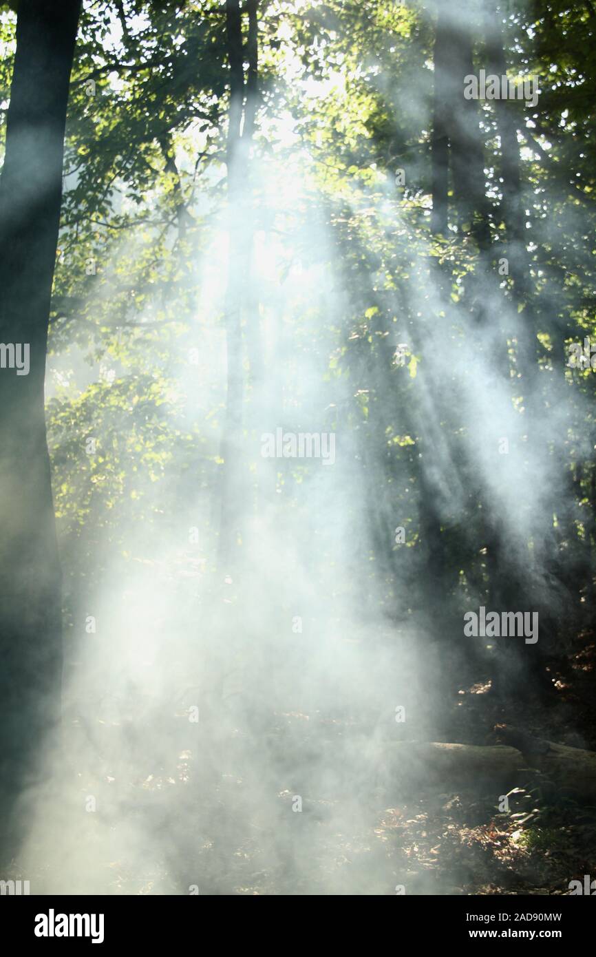Beams of light crown hi-res stock photography and images - Alamy