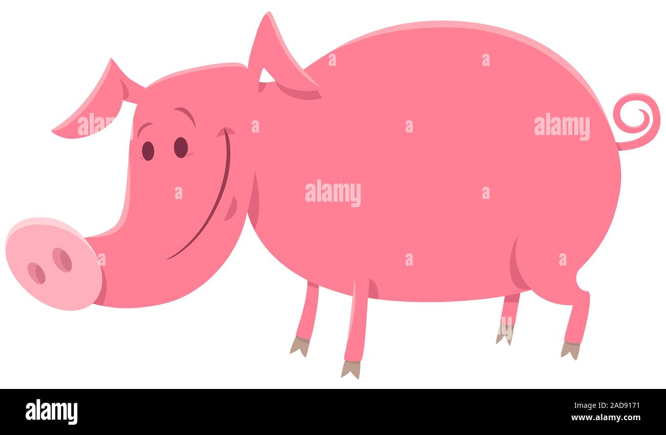pig or piglet animal character cartoon illustration Stock Photo - Alamy