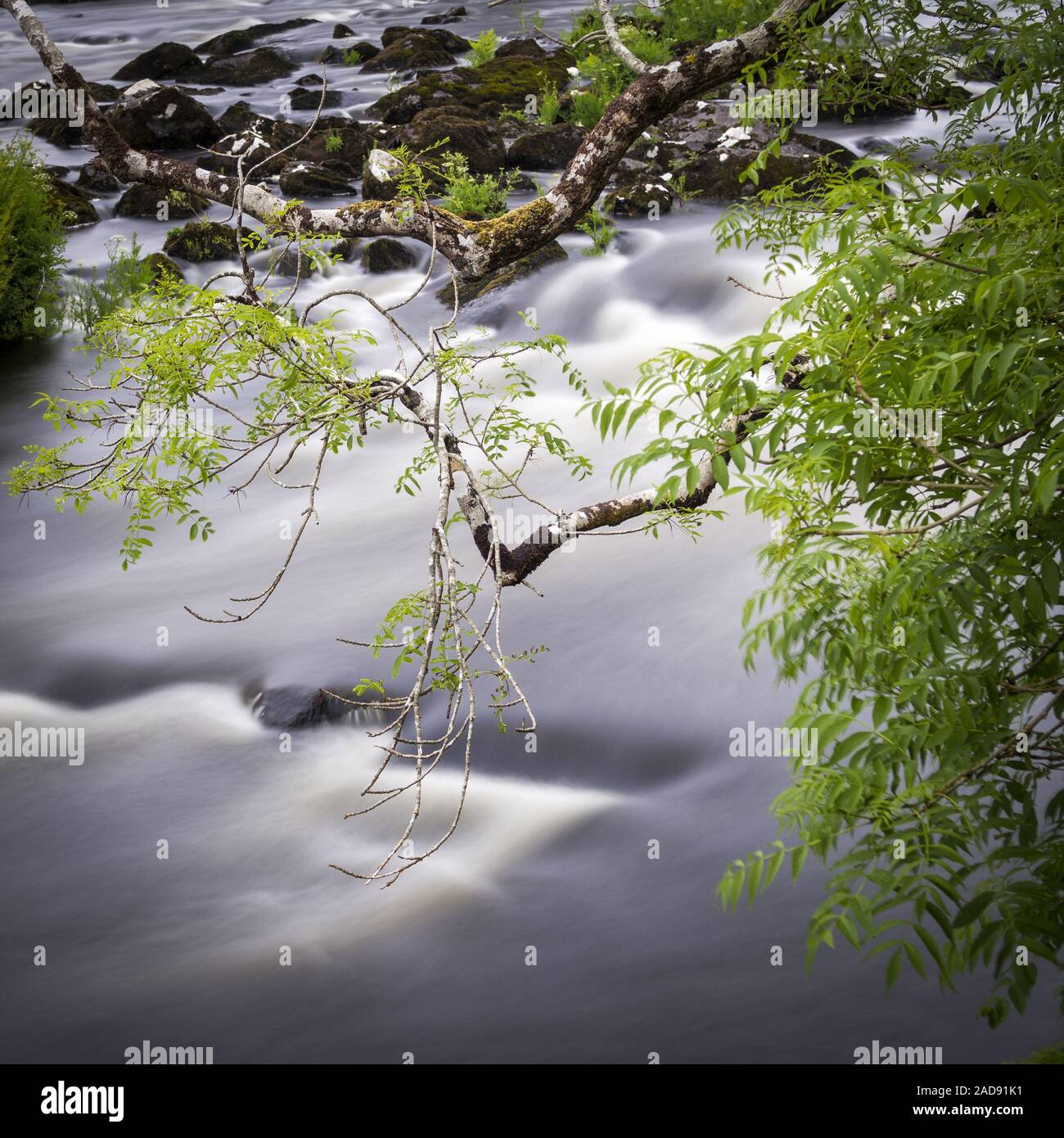 Leaf Rapids High Resolution Stock Photography and Images - Alamy