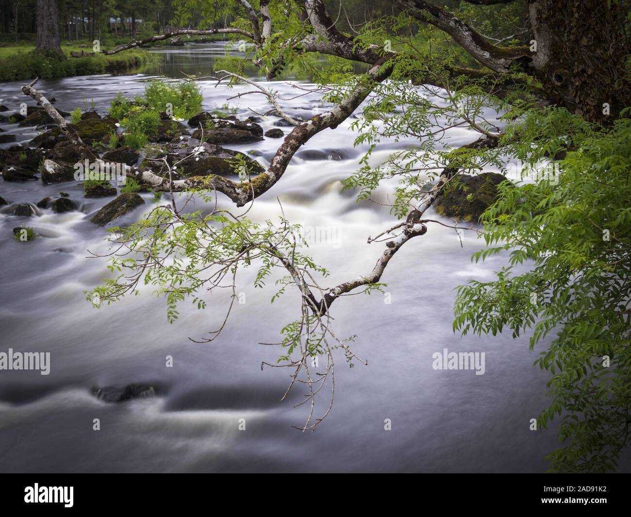 Leaf Rapids High Resolution Stock Photography and Images - Alamy